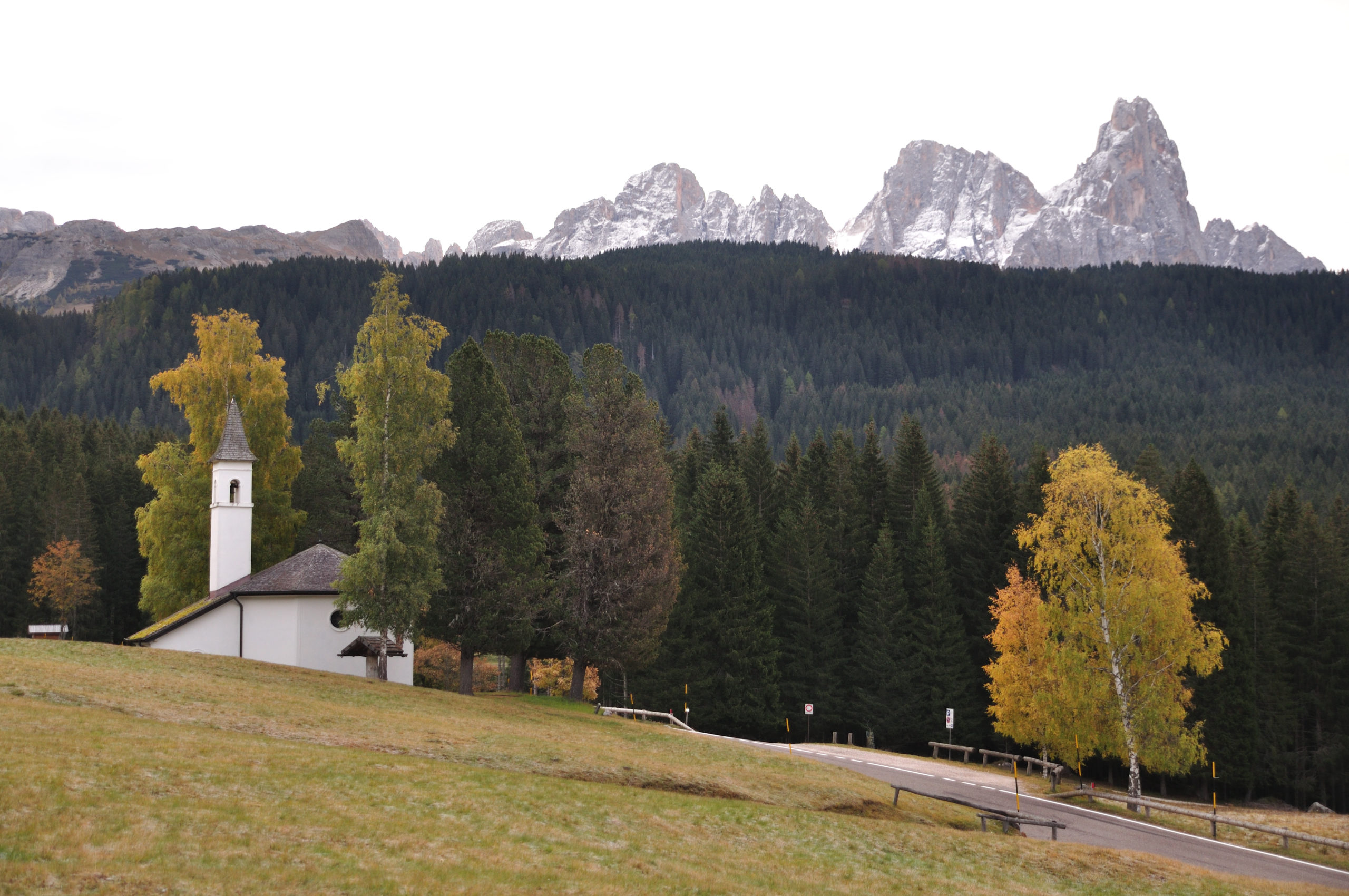 Paneveggio - Parco Naturale Paneveggio Pale di San Martino