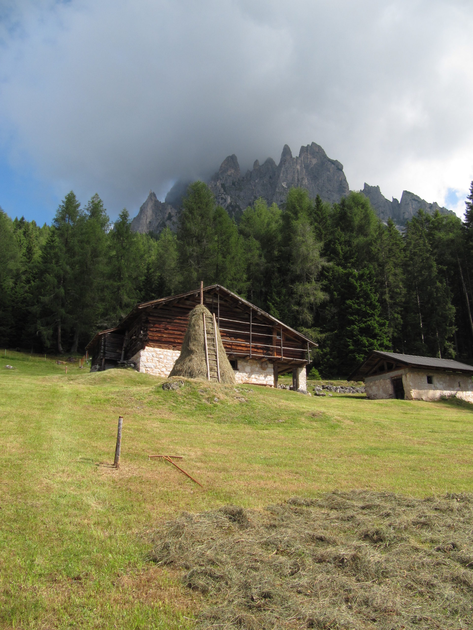 I prati e i pascoli - Parco Naturale Paneveggio Pale di San Martino